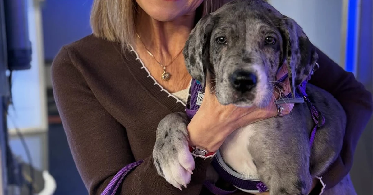 Tracy Butler Net Worth And Salary After 30 Years At ABC7